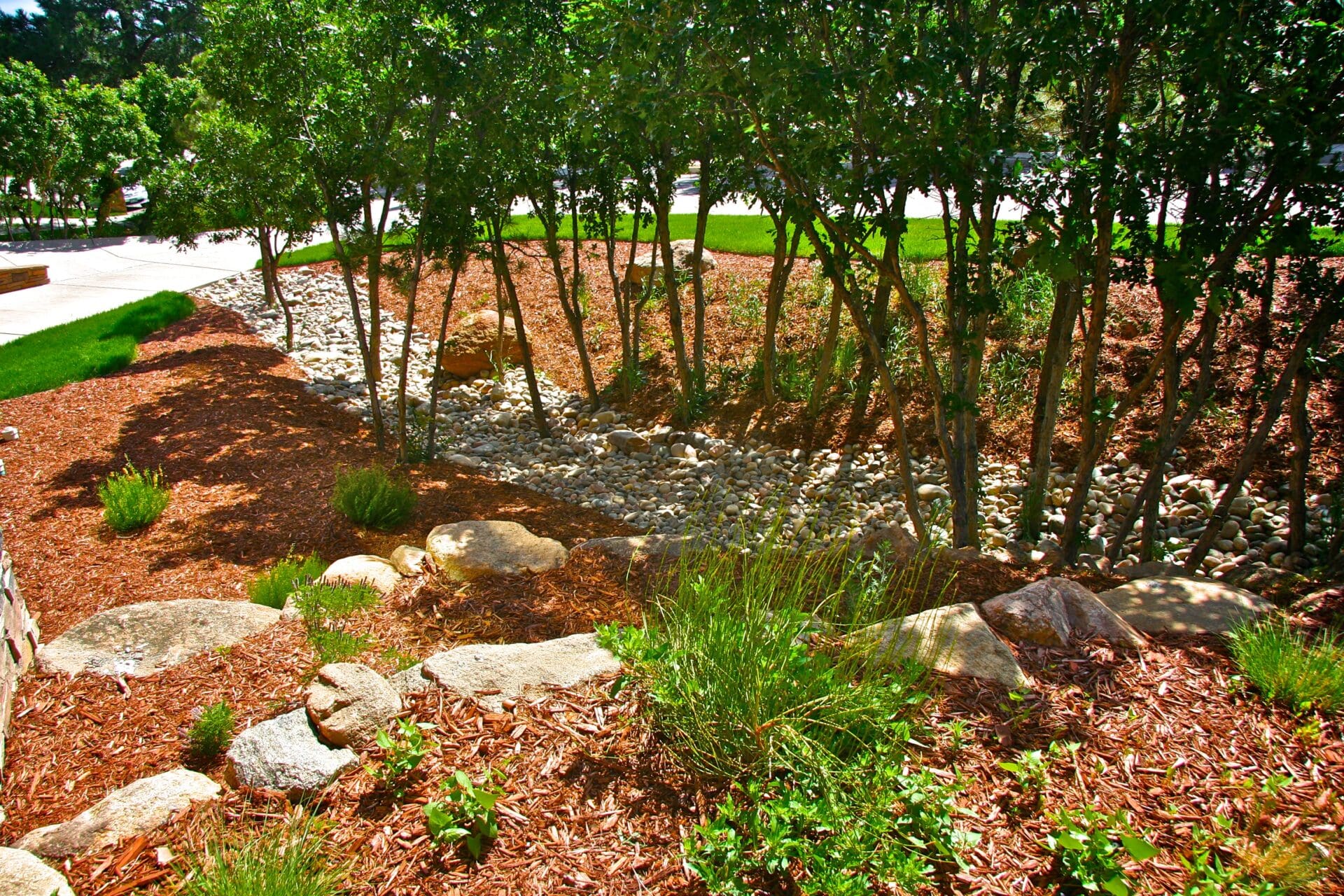 A Comprehensive Guide to Xeriscaping in Colorado – Genesis Group Llc
